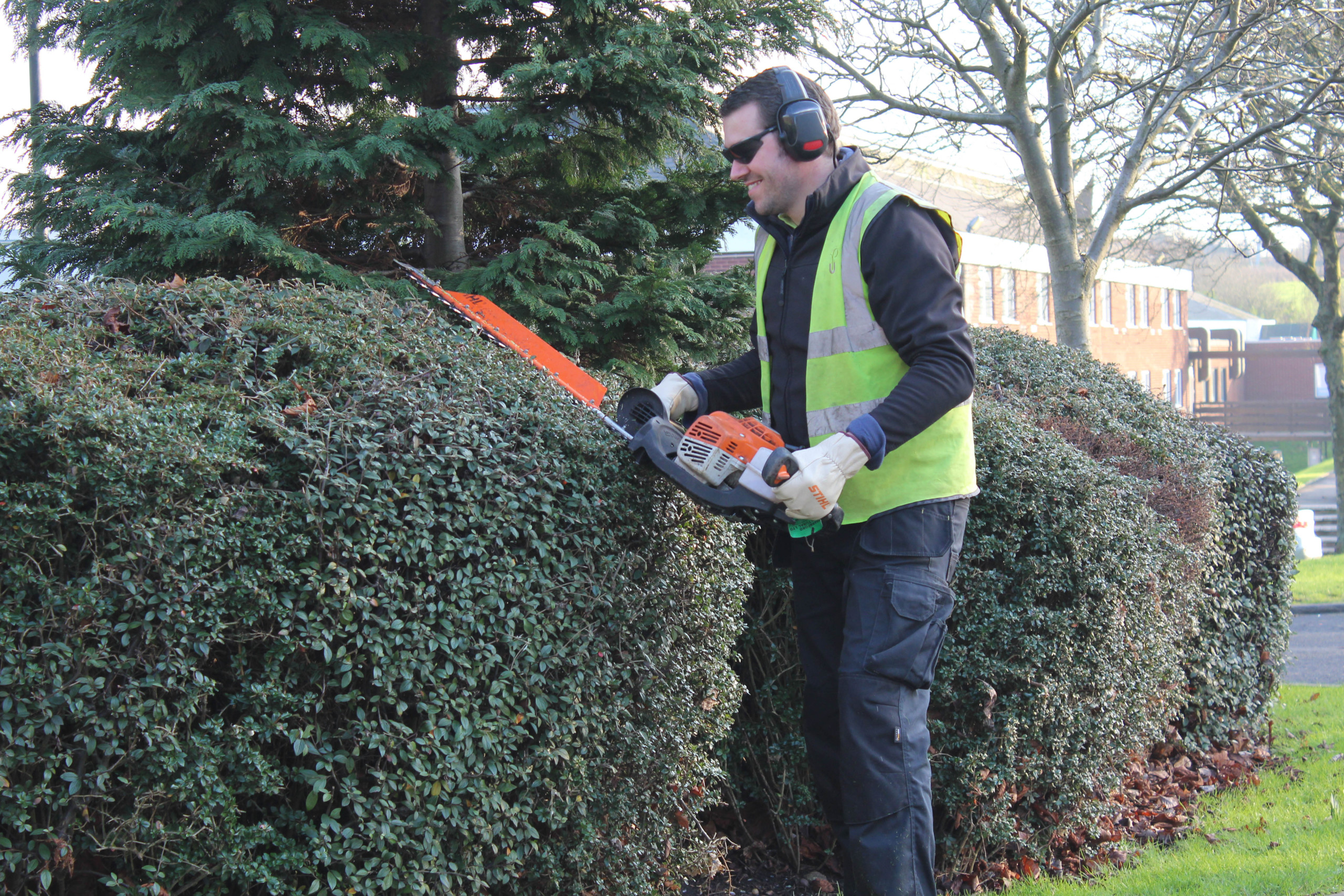 Commercial Grounds Maintenance Services - Urban Planters