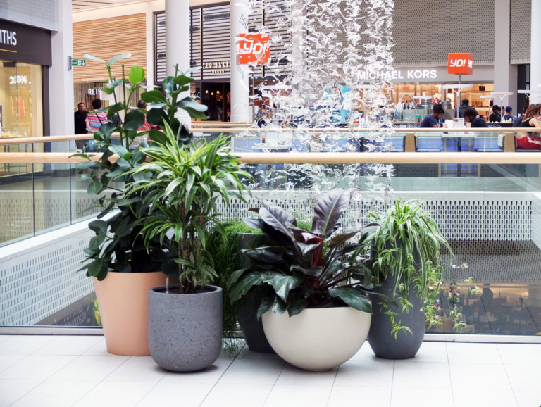 Wide Range of Commercial Plant Displays | Urban Planters