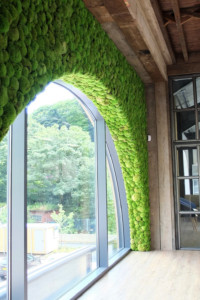 Green Wall Designs & Installations | Urban Planters