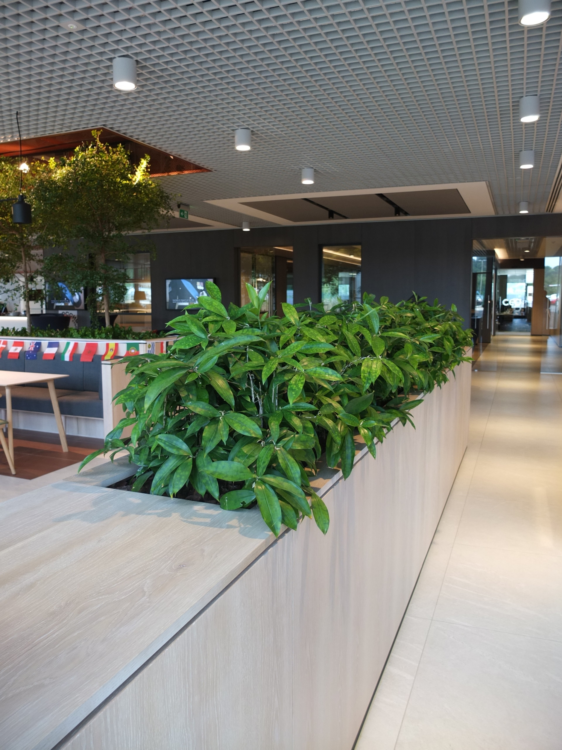 About The Biophilic Café Design and Plants | Urban Planters