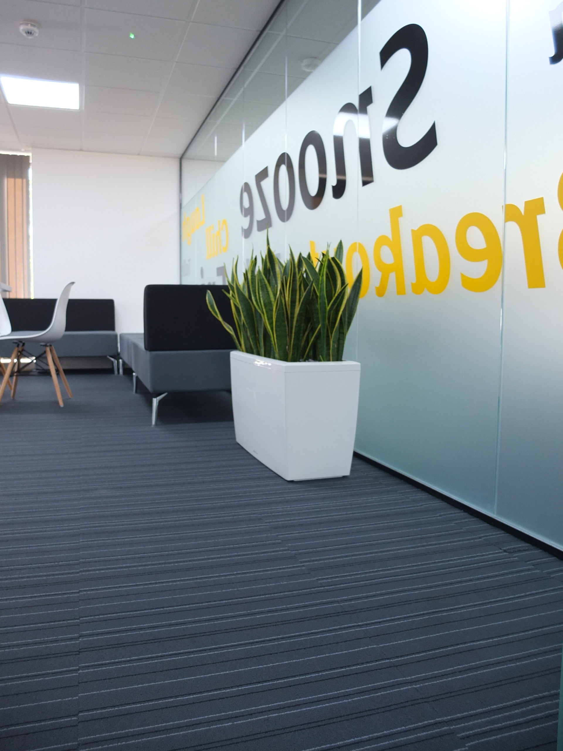Davis Construction Office Plant Design | Urban Planters