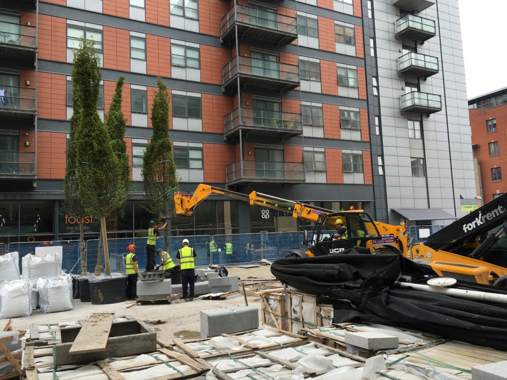 Professional Planting Scheme Case Studies | Urban Planters