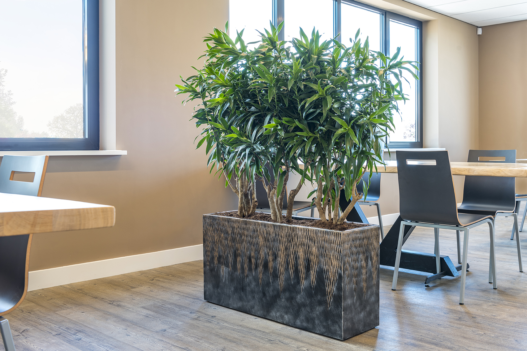 Strategic Planting for Healthy Spaces | Urban Planters