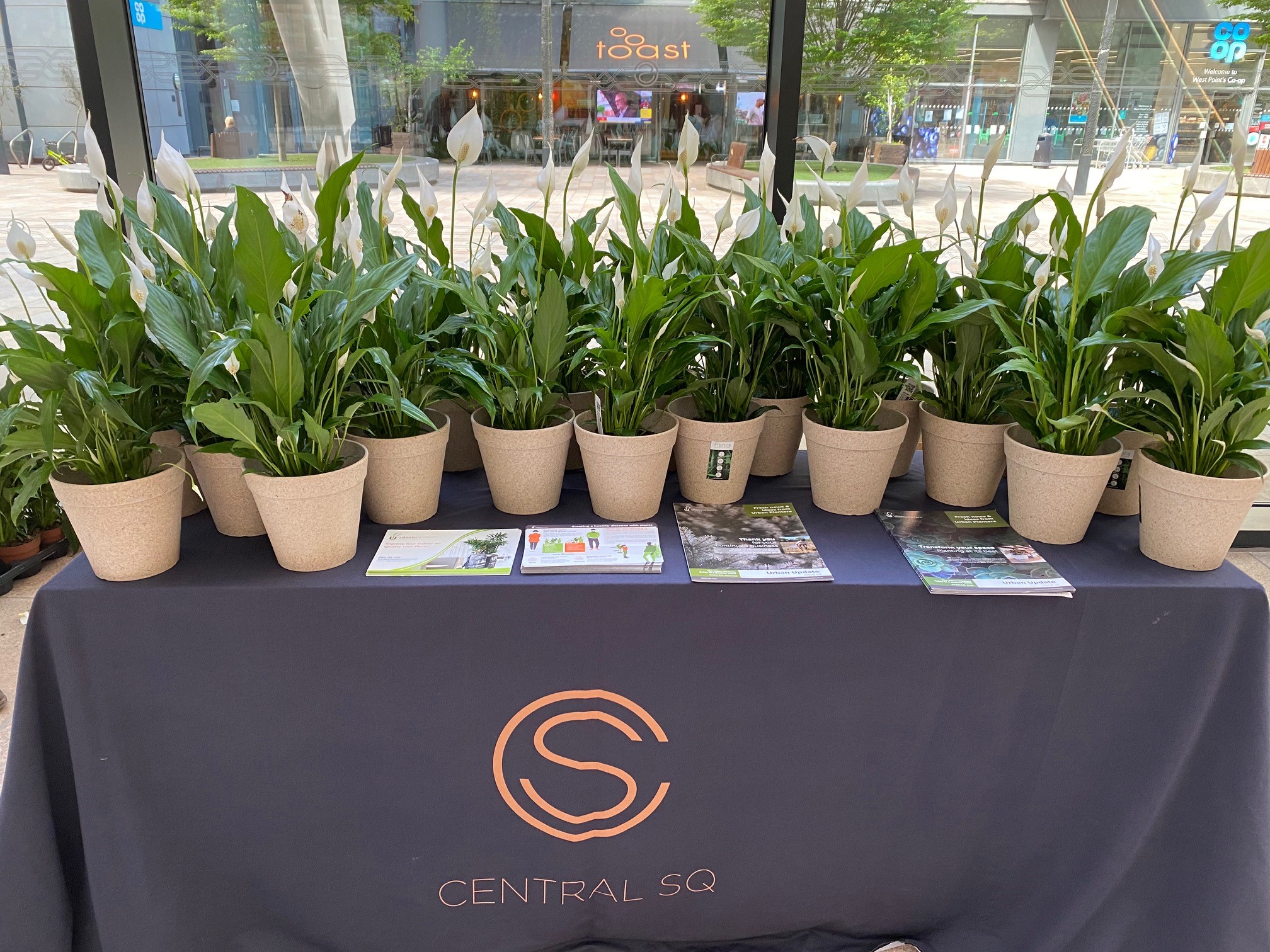 Integrated Planting: Central Square Leeds | Urban Planters
