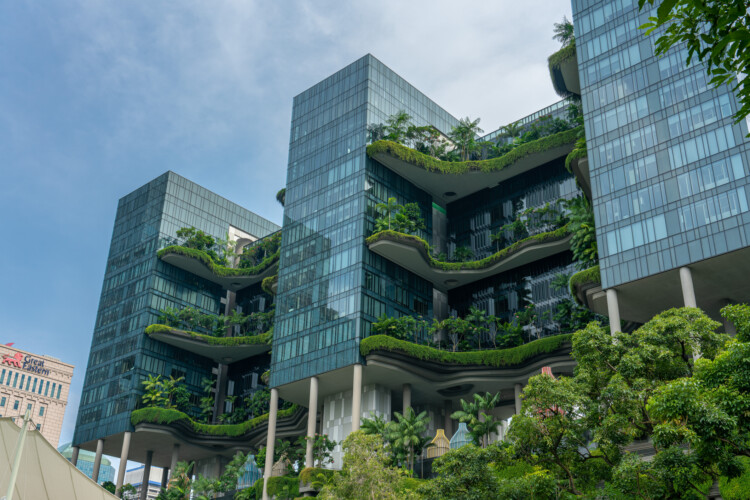 Plants give buildings cool shades - Urban Planters