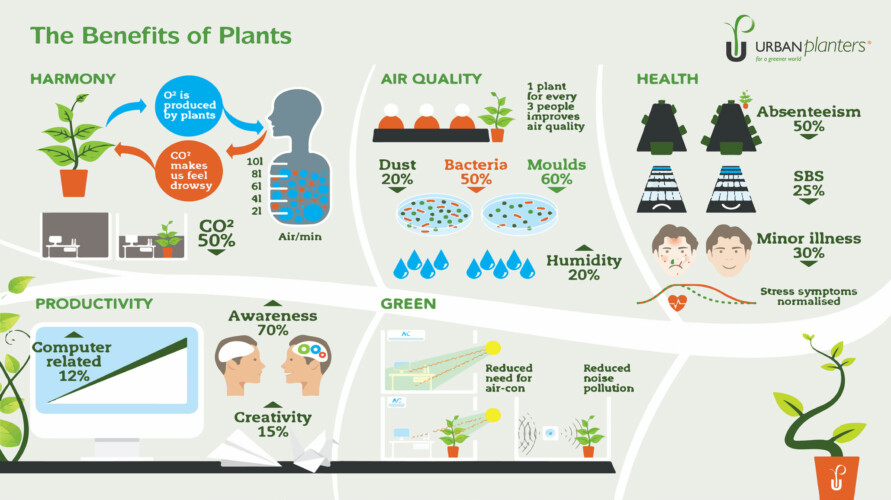 Plants at Work Week and Wellbeing | Urban Planters