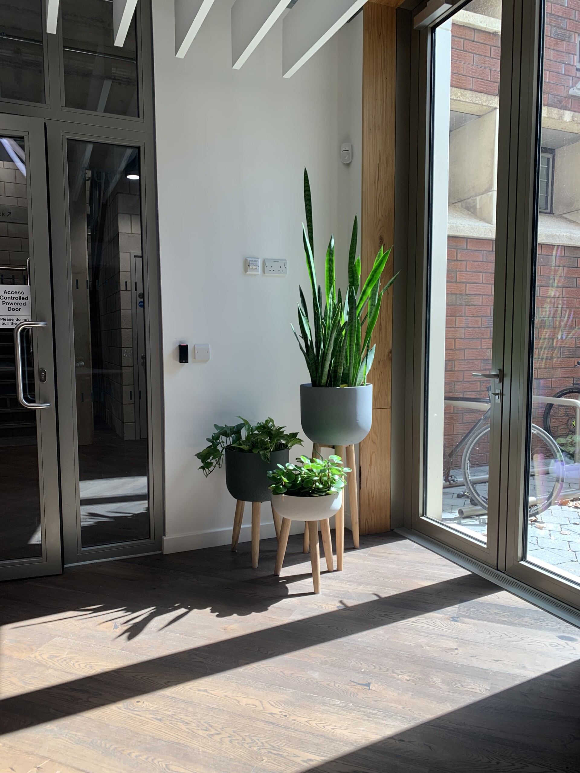 Diverse Plant Display Solutions Case Study | Urban Planters