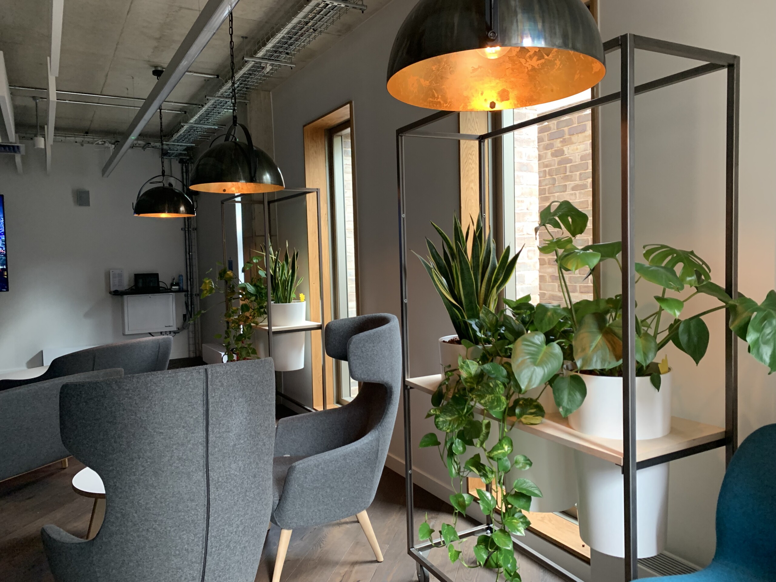 Diverse Plant Display Solutions Case Study | Urban Planters