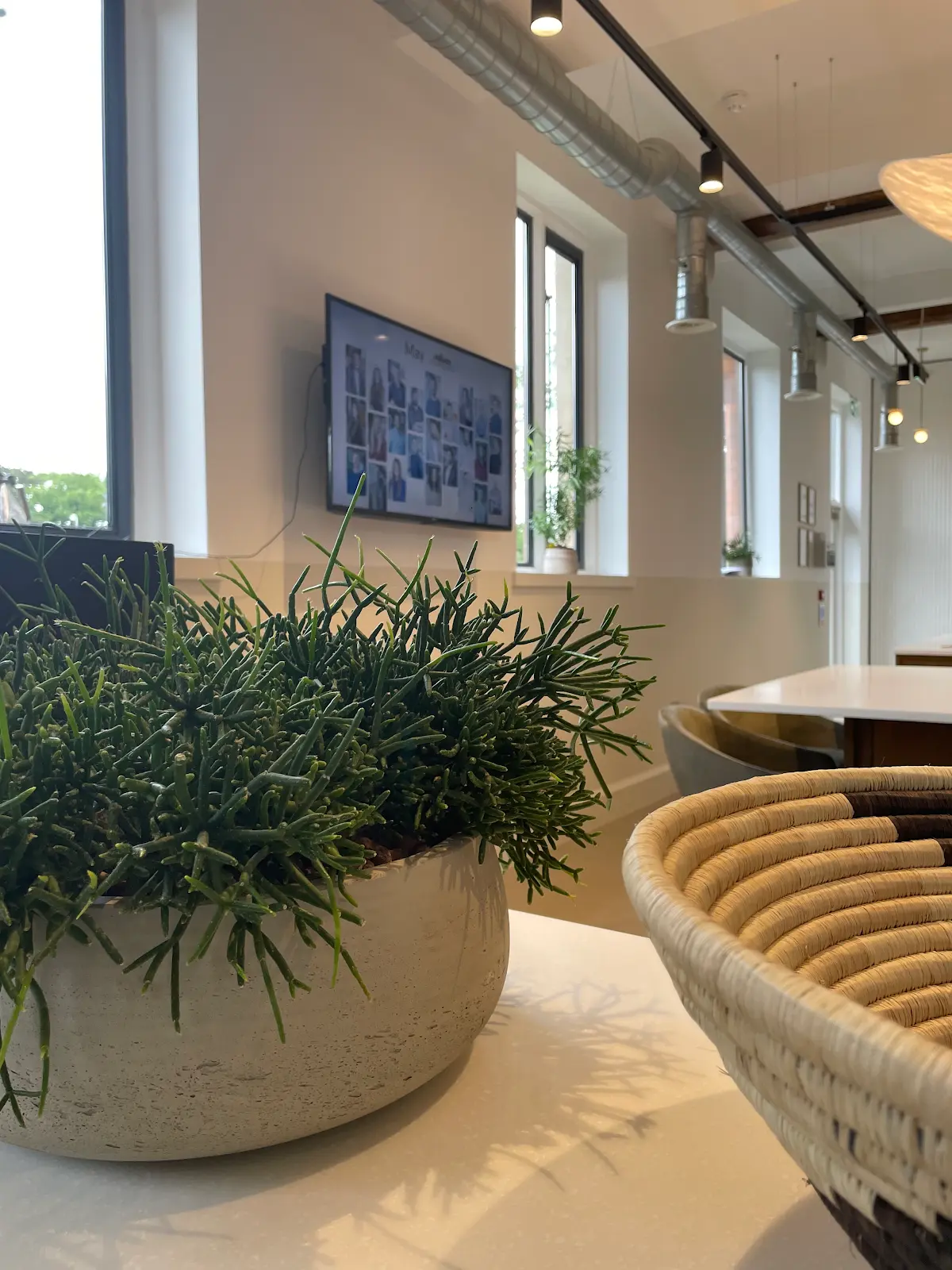 Office Principles: Workplace Plant Design | Urban Planters