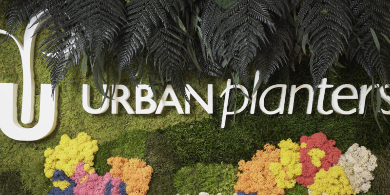 UK Plant Displays & Landscaping Services | Urban Planters