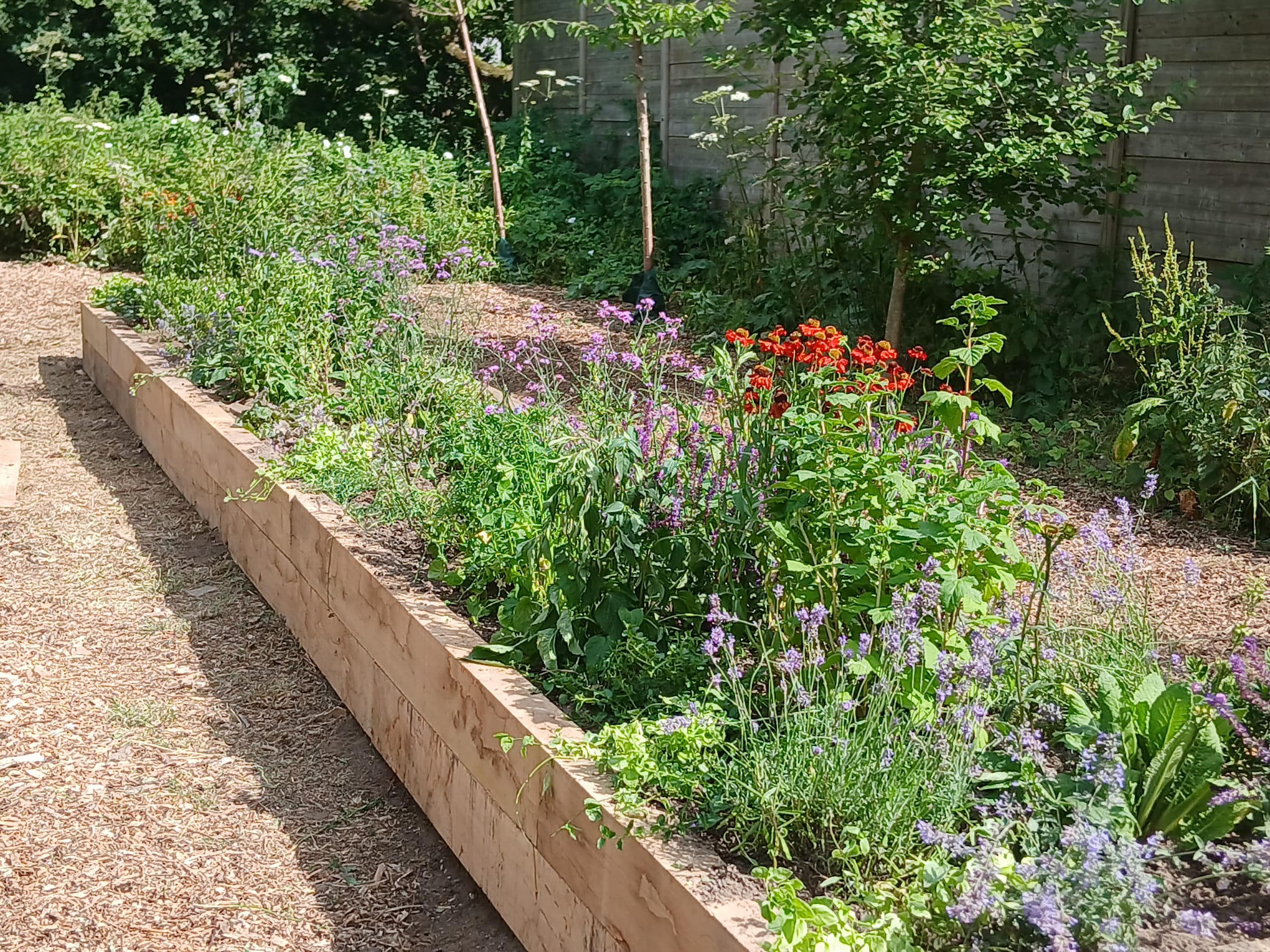 Design & Landscaping | Urban Planters